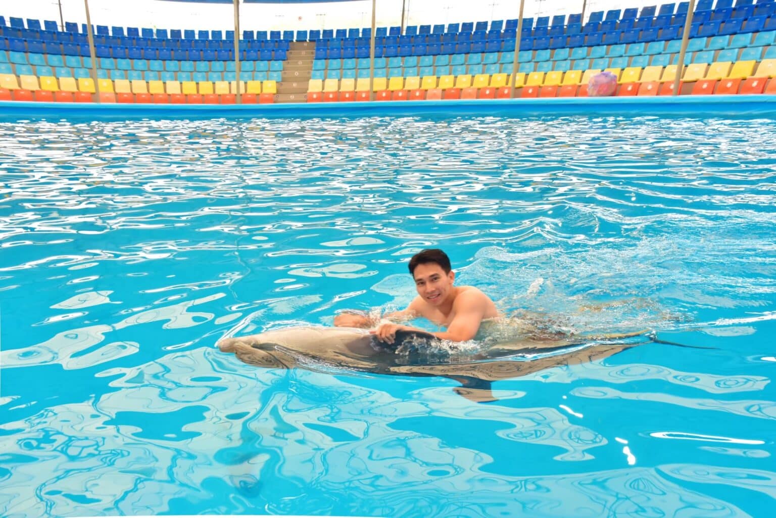 Book Dolphin Show Phuket Tickets - Visit Dolphins Bay Phuket